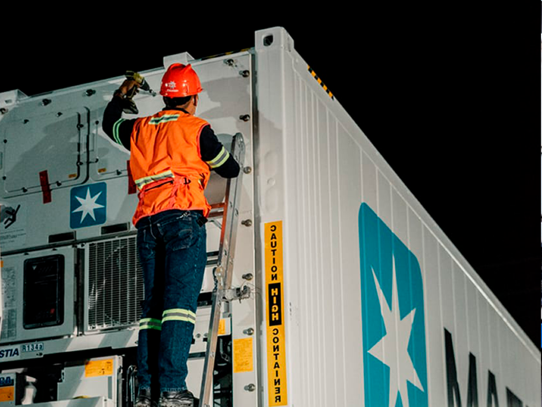 Inspección de Contenedores – Velcont S.A